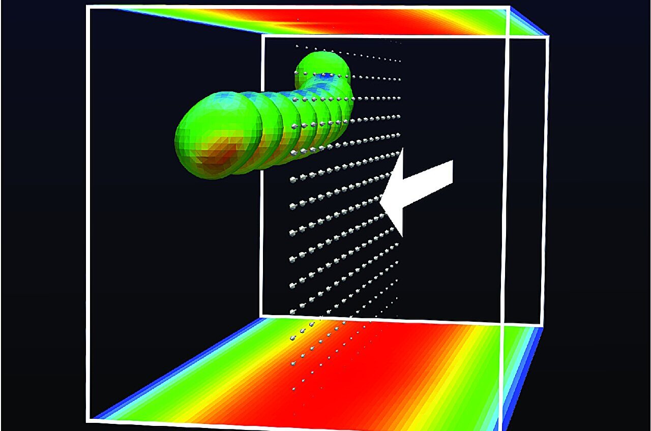 Supercomputer unveils new cell sorting principle in microfluidic channels