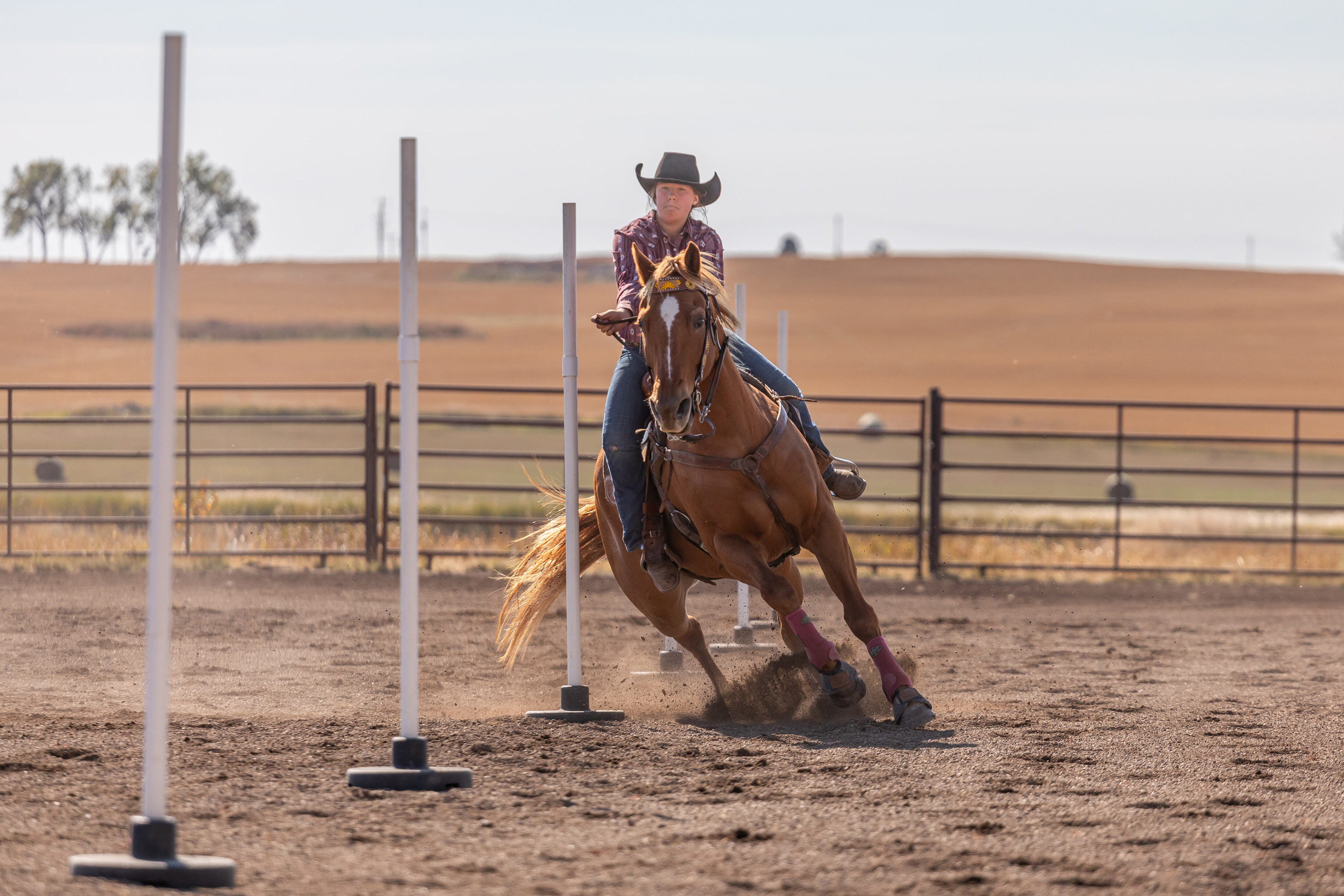 Cowboy Fall Festival in Stanley Sept. 27-28