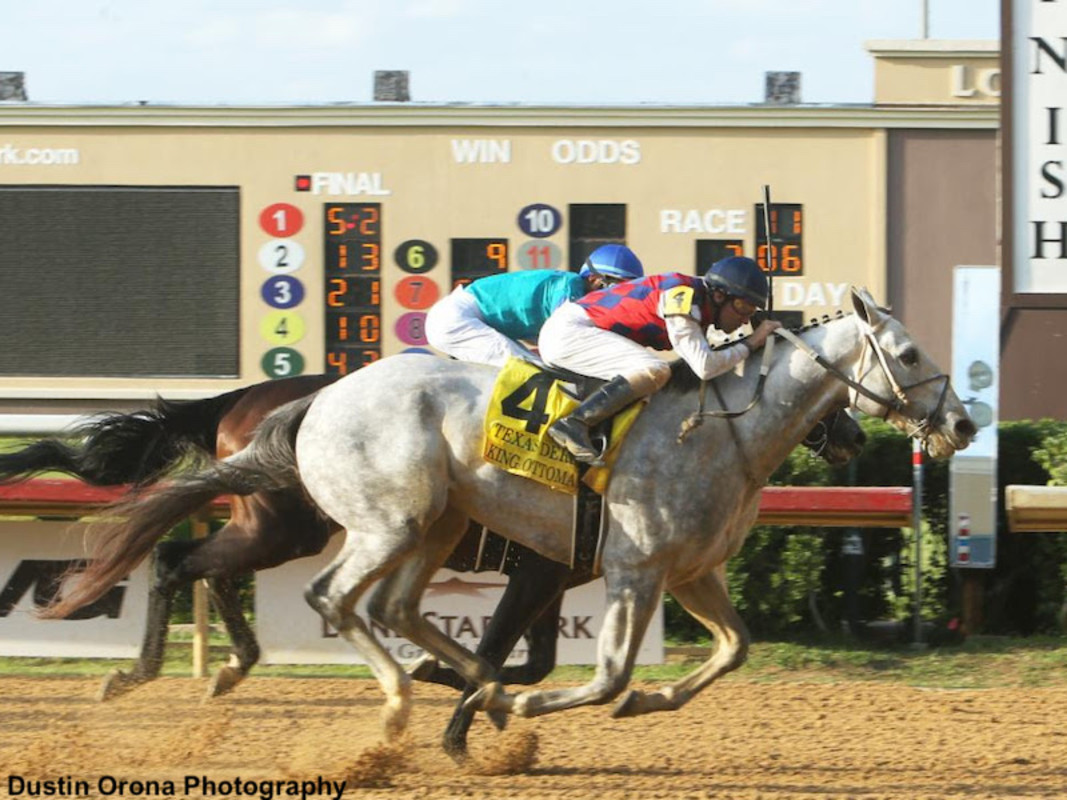 Stakes Winner King Ottoman To Enter Stud In Saudi Arabia In 2026