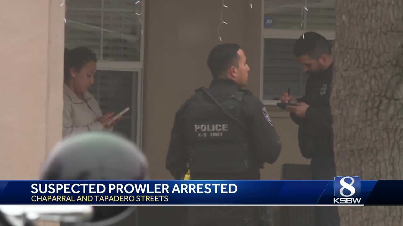 Prowler suspect in custody Monday morning after search, Salinas police say