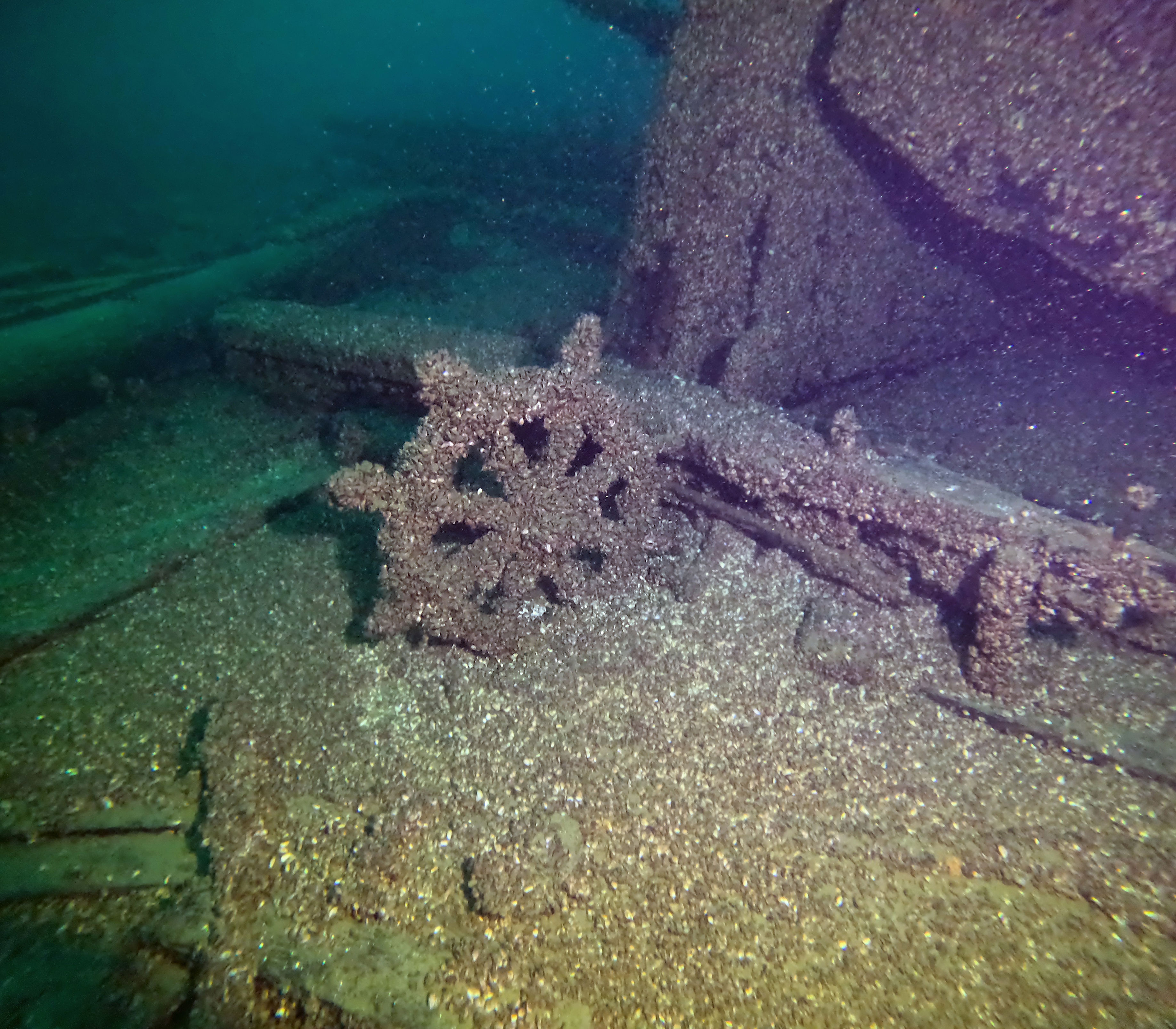 This Shipwreck Eluded Searchers for 139 Years. A Group of Historians ...