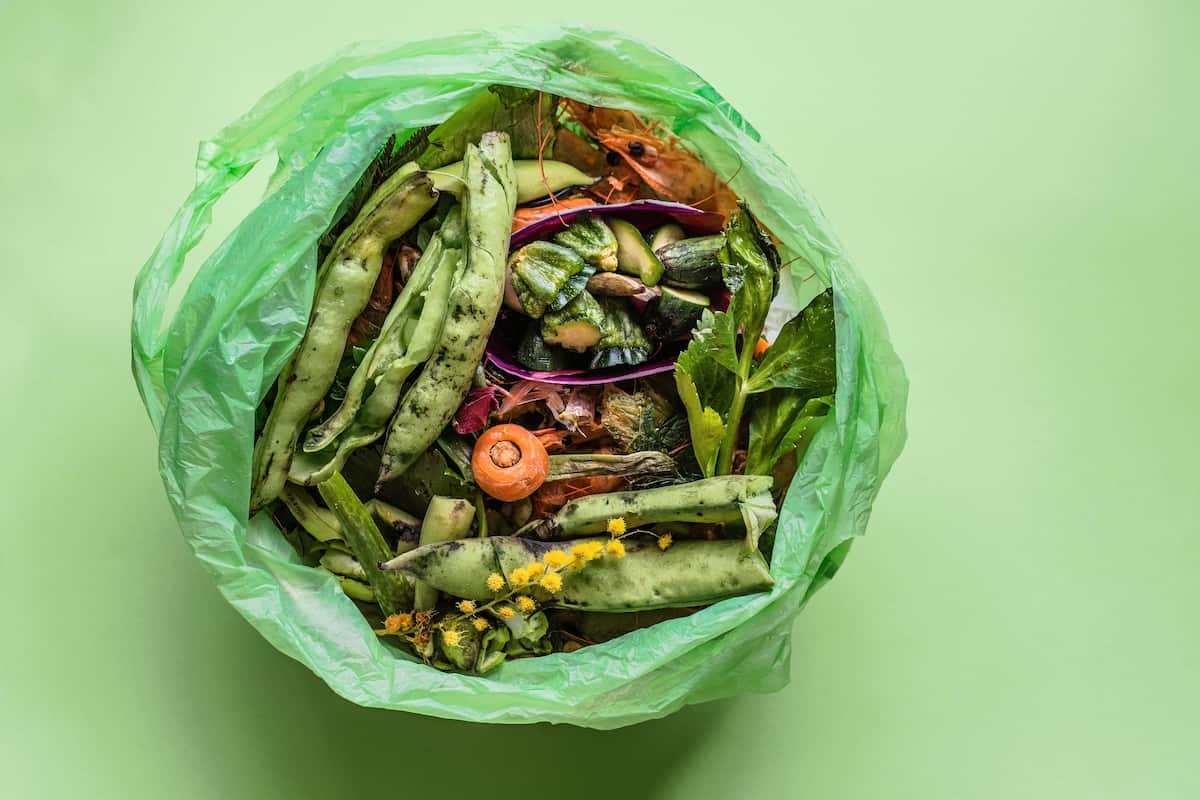 Desperdicio de alimentos en México: ¿cómo lograr que los niños no ...
