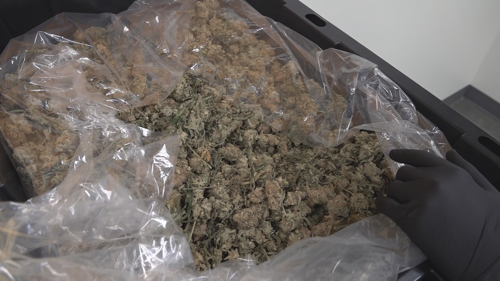 State lawmakers to consider expanding medical marijuana access for ...