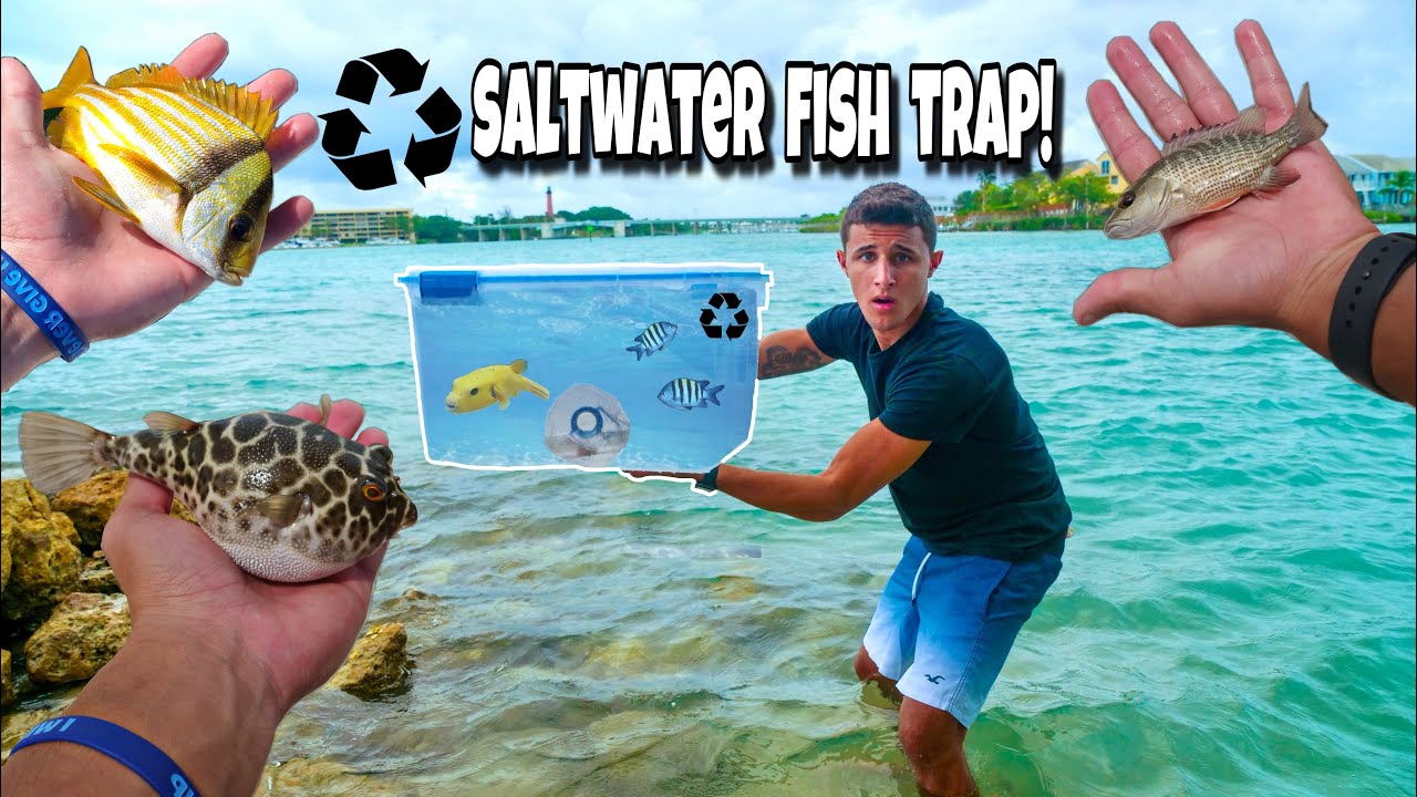 Watch me build a fish trap from scratch!