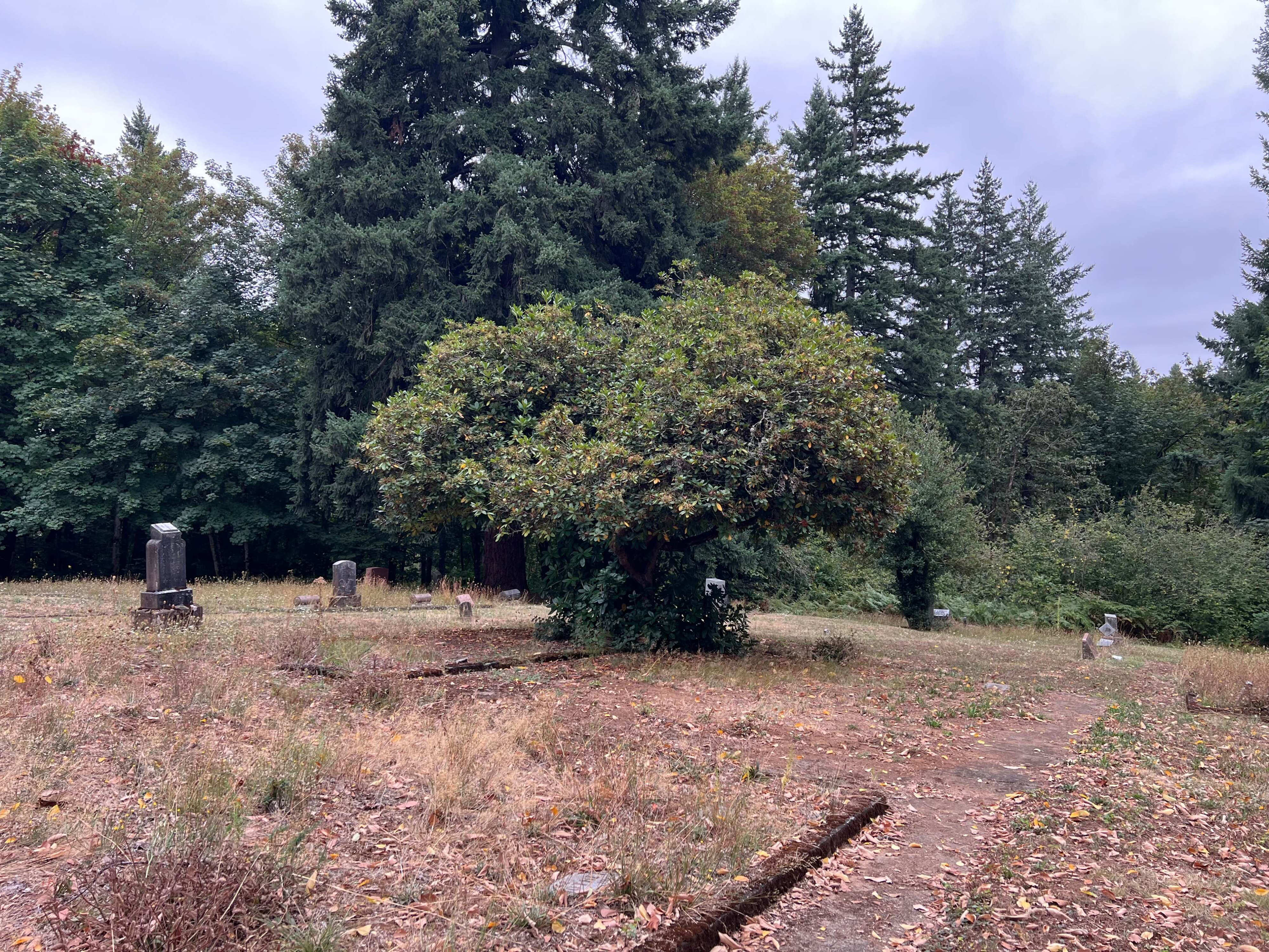 Oregon authorities exhume remains in one of Portland area’s oldest ...