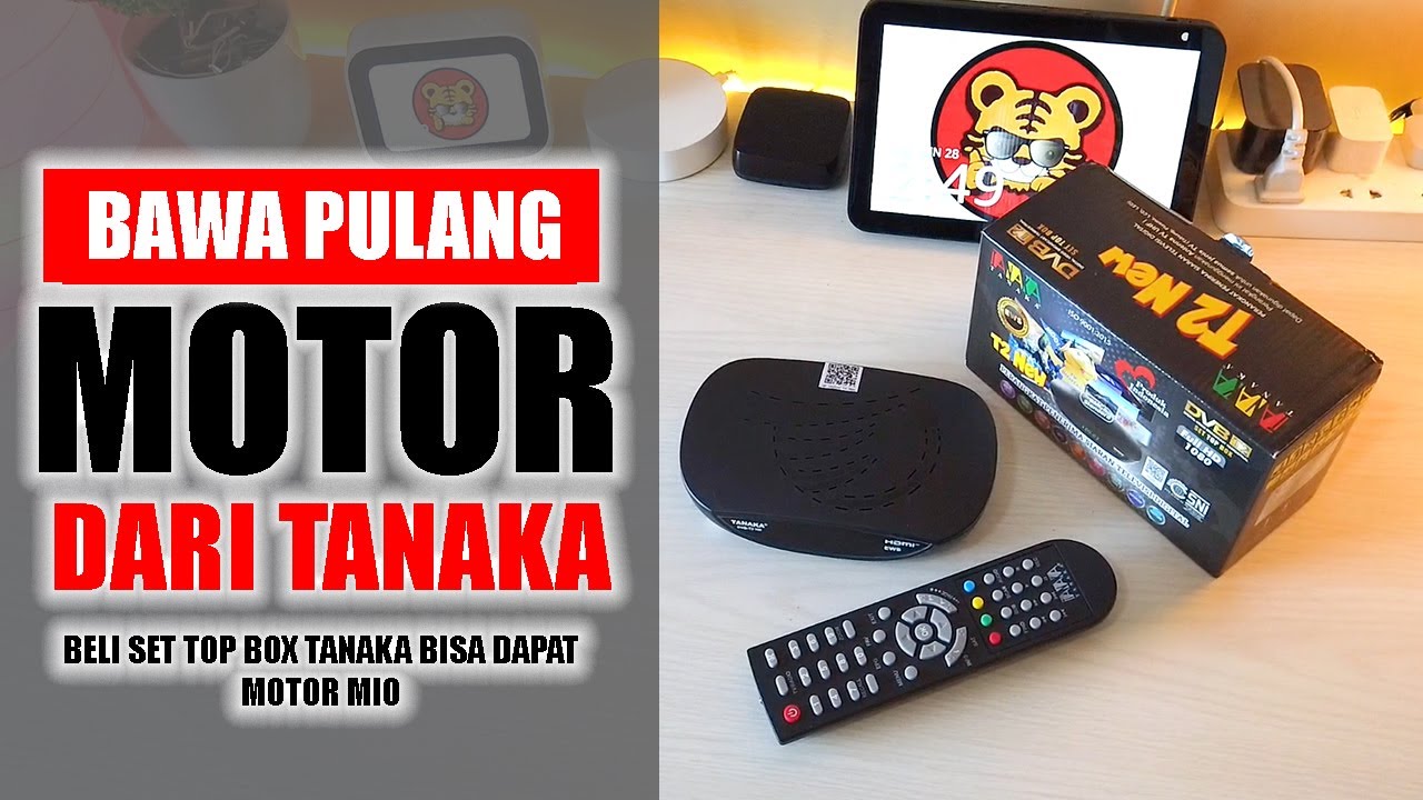 Beli STB Tanaka T2 New Bisa Dapat Motor! Full Walkthrough