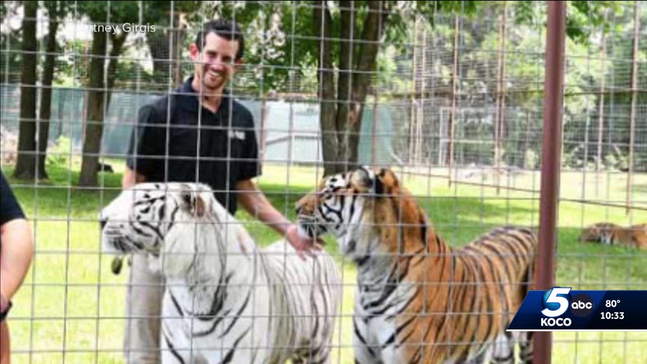 Oklahoma tiger handler was fatally mauled during big cat show, sheriff says