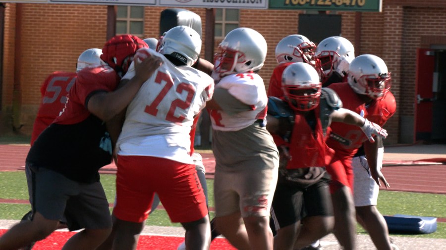 Laney Wildcats to host Thomson in 2A region matchup
