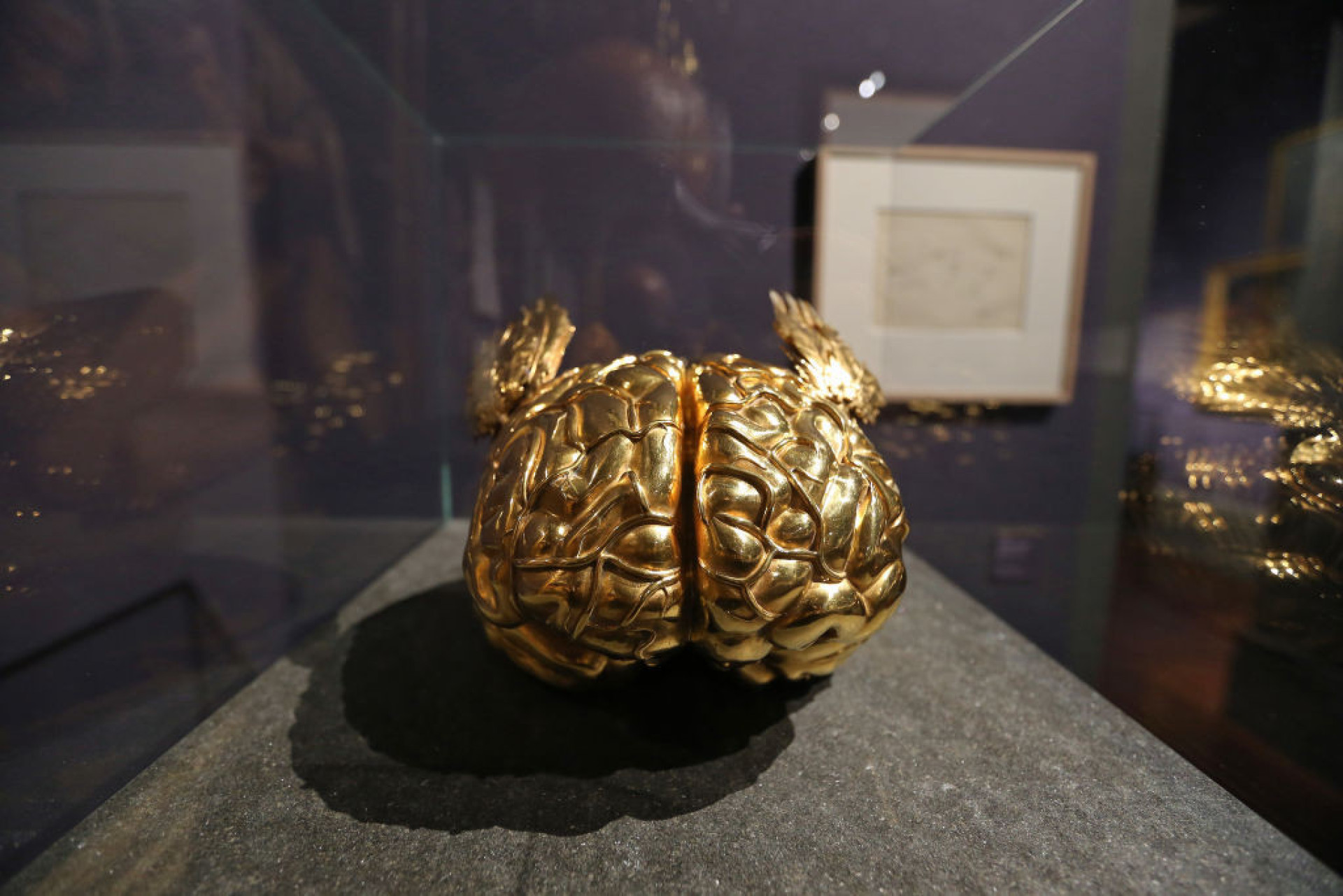 The 64 genes that affect how fast your brain ages