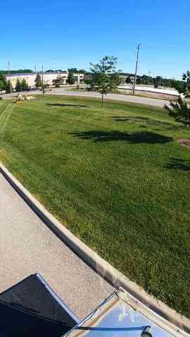 Satisfying Lawn Stripes With the Walker Mower - Perfect Lines Every Time