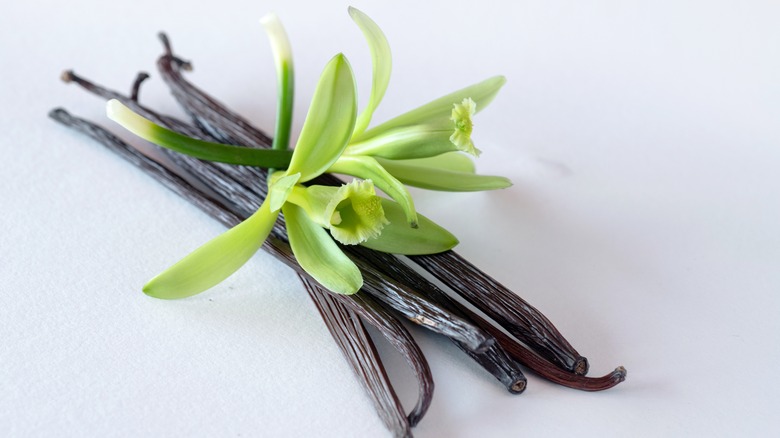 12 Unconventional Uses For Vodka Other Than Drinking