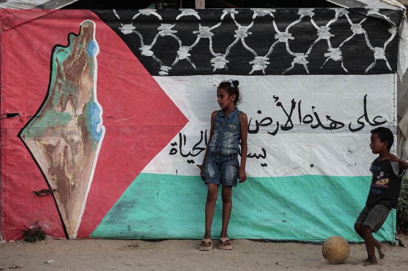 Palestine's state recognition branded 'too little, too late' as expert ...