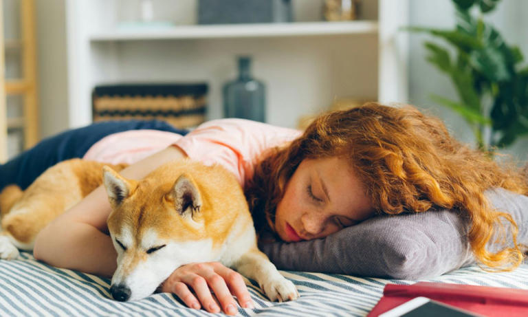 Veterinario advierte los riesgos de dormir junto a tu mascota