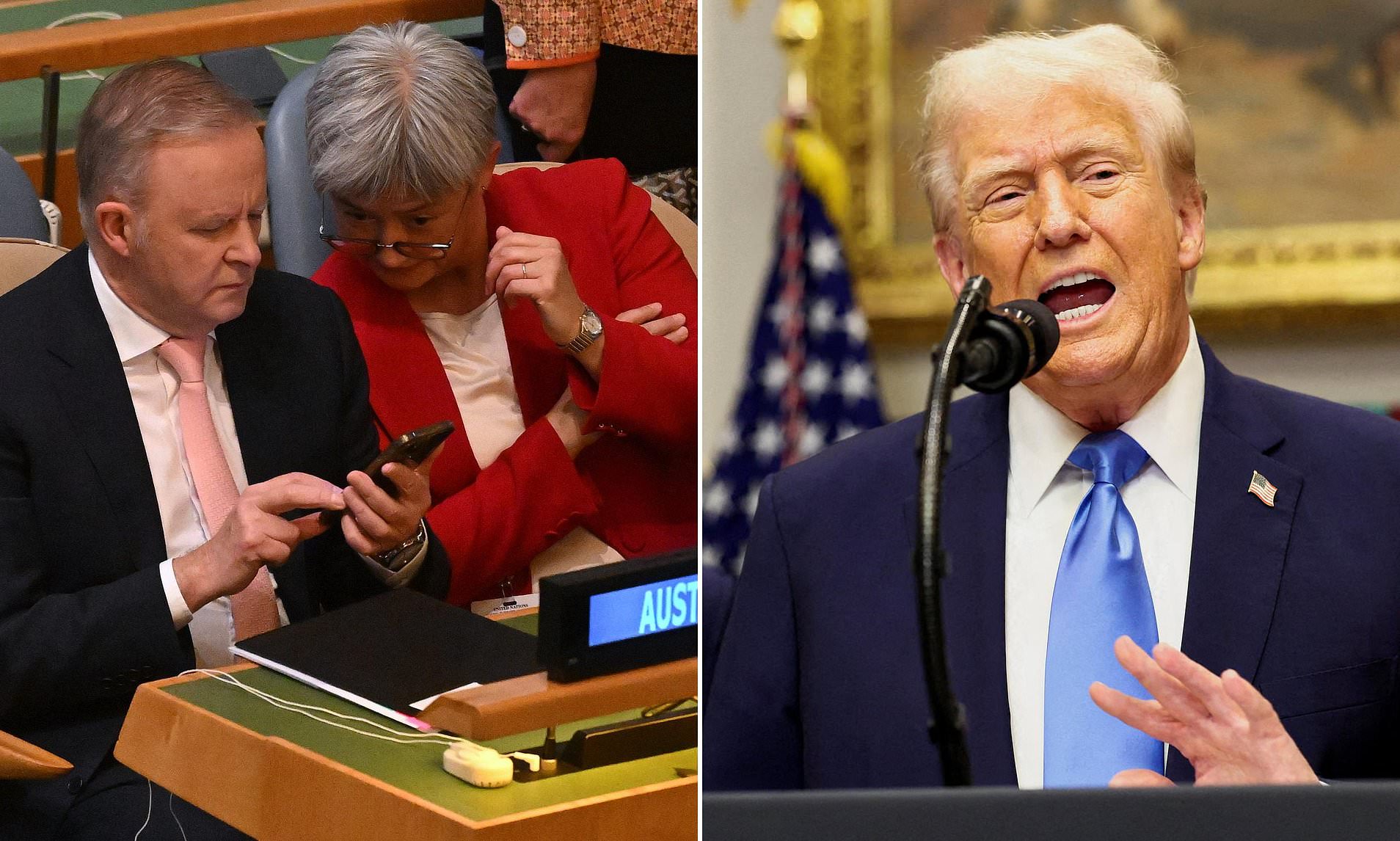 Senior minister makes bizarre two-word comment about Albo FAILING to ...