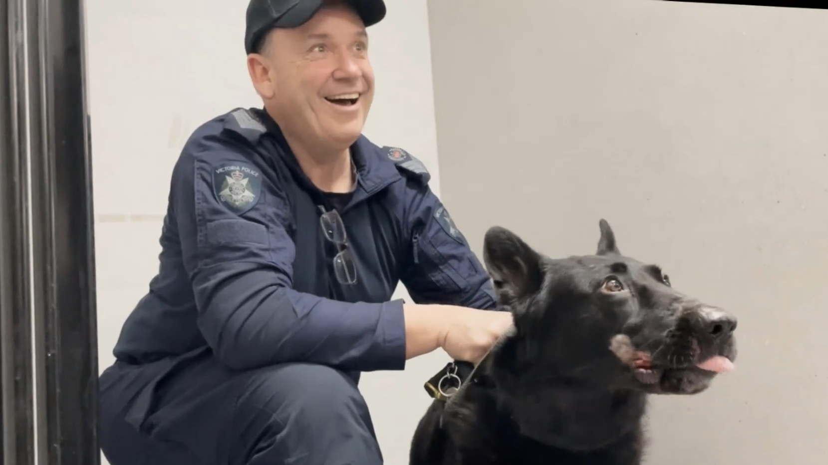 'Miracle' as police dog Rocco escapes horror crash with only a few scrapes