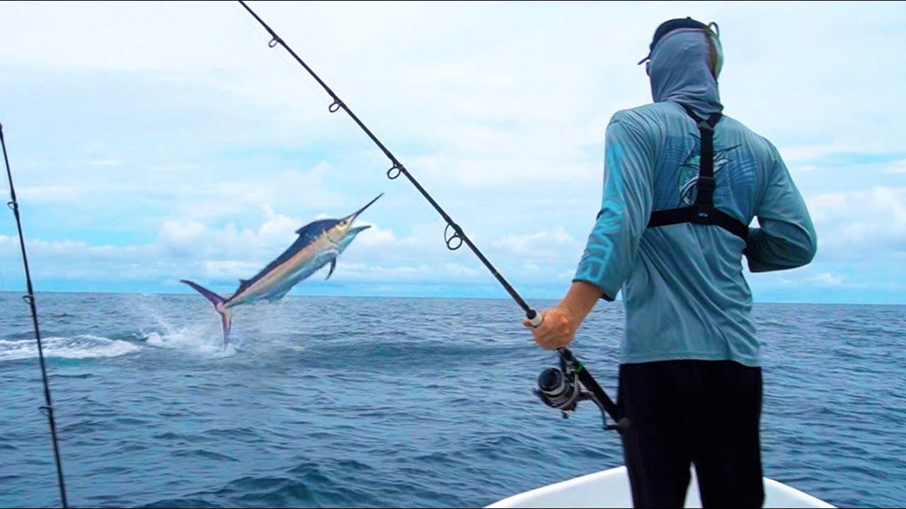 Catching a 500-pound marlin – offshore fishing