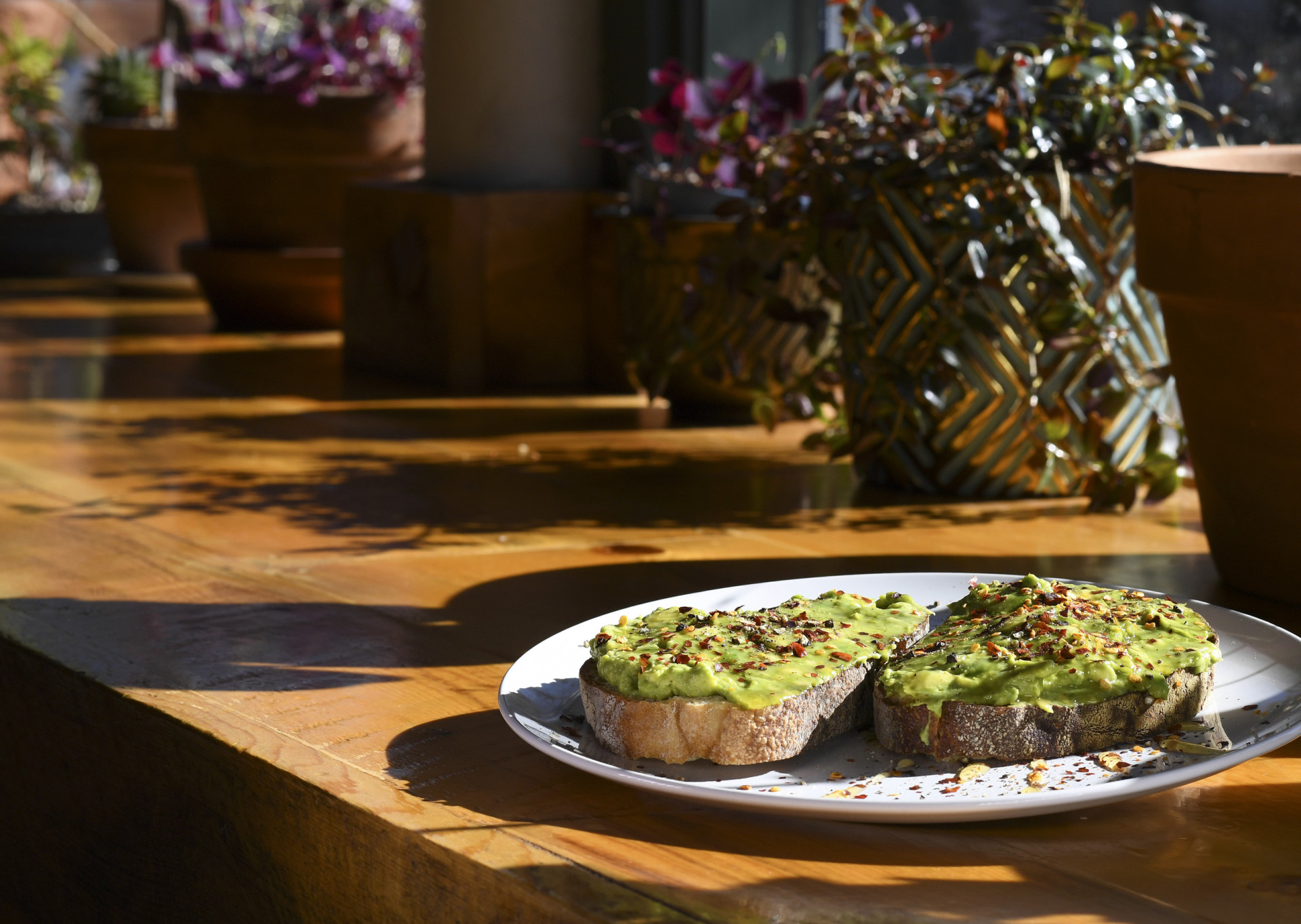 Temná pravda o avokádu