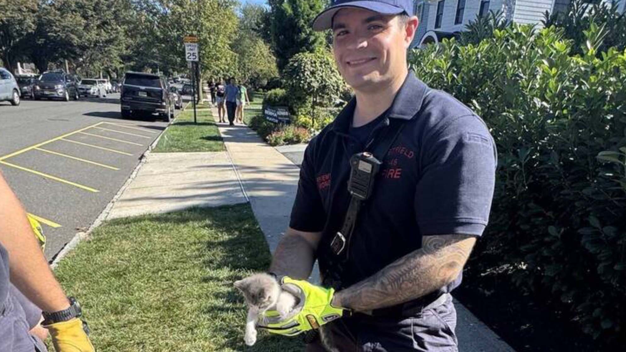 New Jersey Firefighters Pull Off Purr-fect Rescue