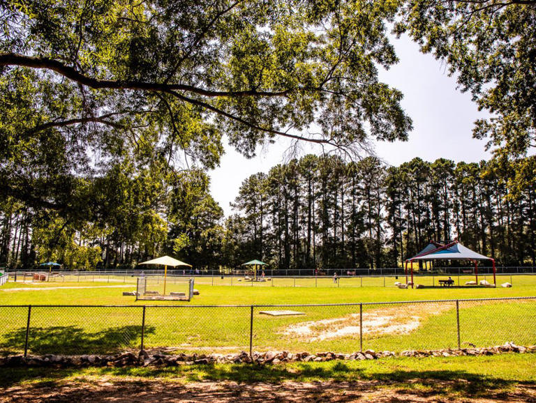 A Complete Guide to Dorothea Dix Park: Raleigh's Urban Oasis