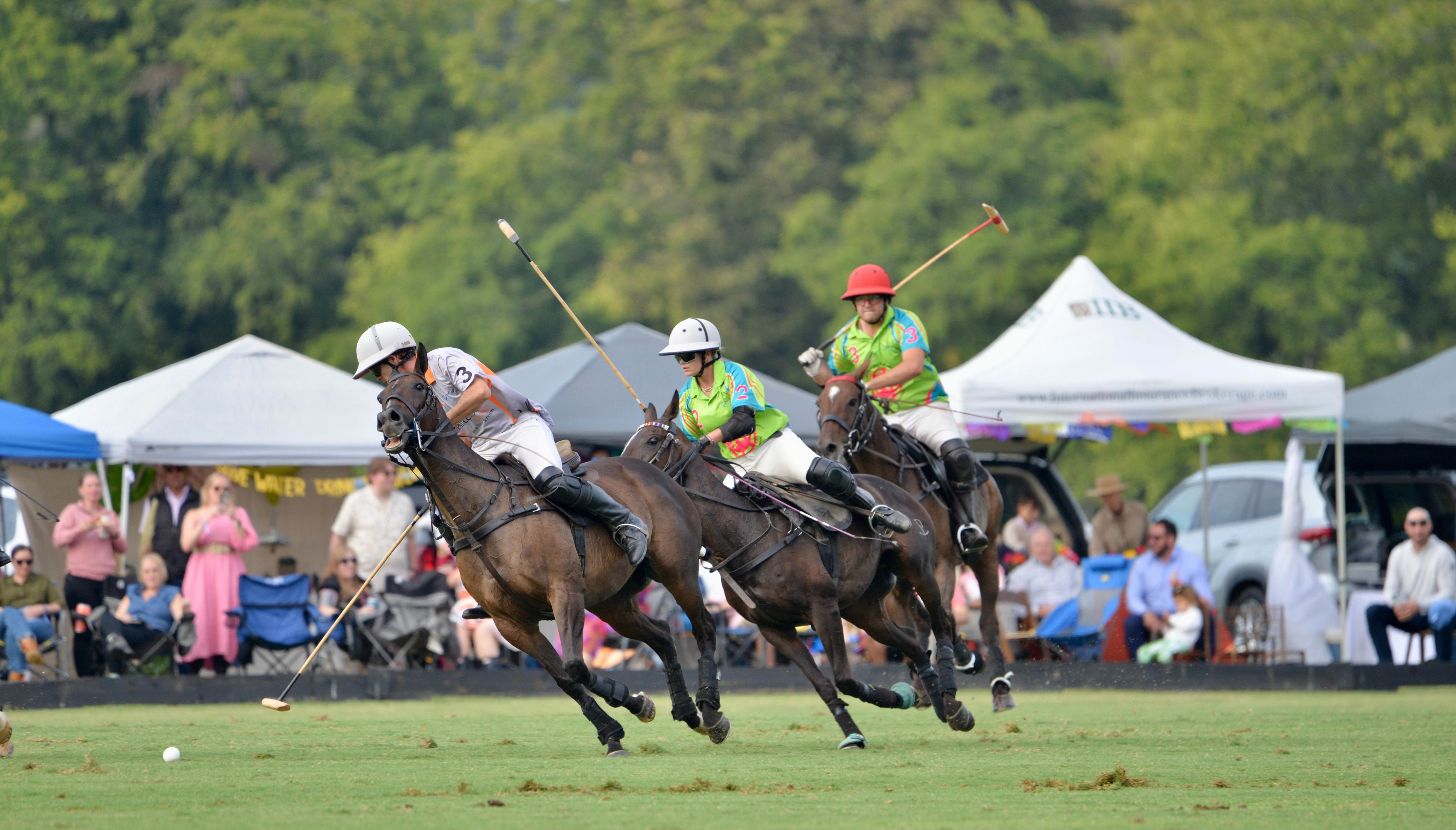 Chukkers for Charity celebrates 29 years with Polo Fiesta. See the photos