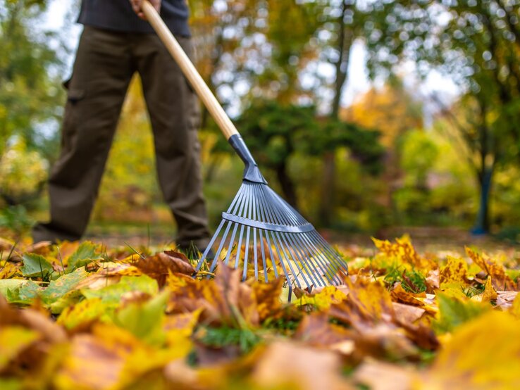 Laub im Herbst: Wer muss die Blätter auf Gehwegen beseitigen?