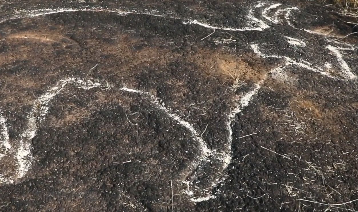 In 2018, farmers in India discovered enormous stone animal petroglyphs ...