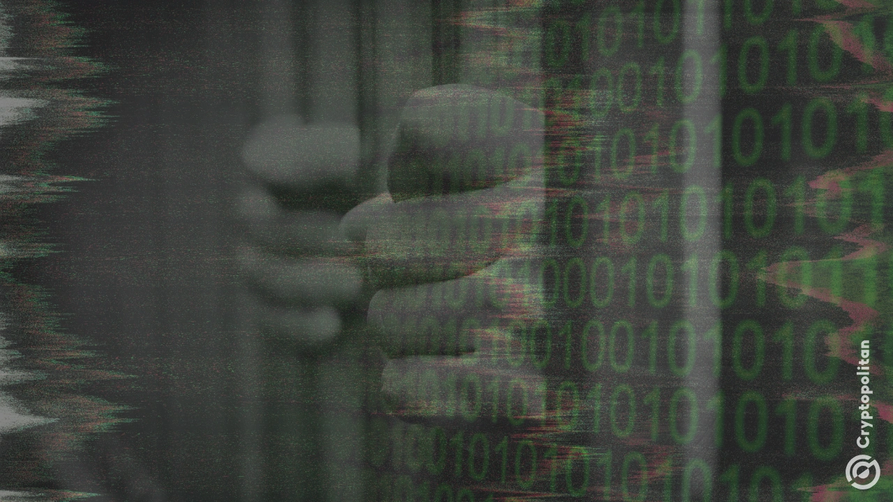 Canadian man hit with 13-year sentence over $1M ransom demand in BTC ...