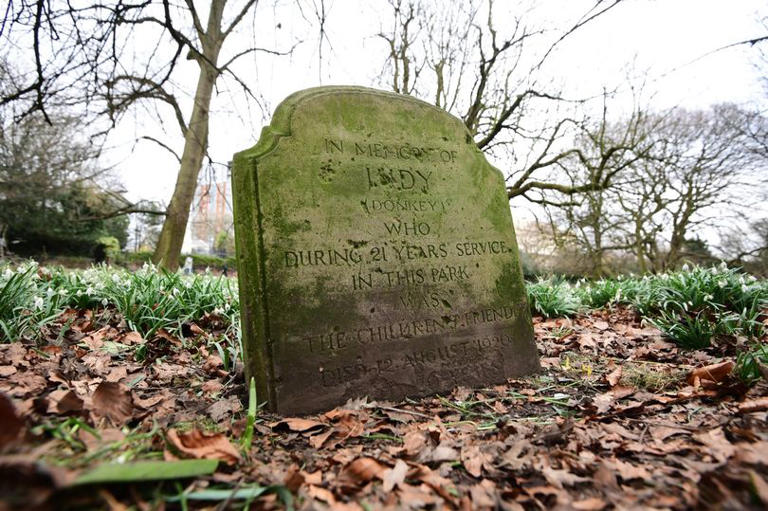 Story behind mysterious standalone grave in Liverpool park