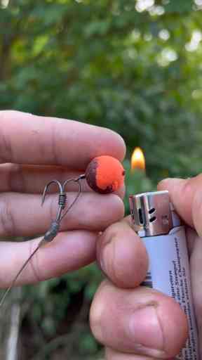 Epic Carp Fishing Rig Showcase and Montage