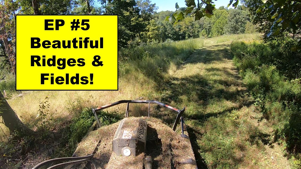 Clearing Trails and Food Plots on the Southern Illinois Property ...