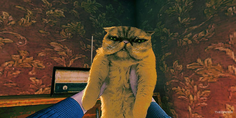 Things We Wish We Knew Before We Opened Our Door To Strangers In No, I ...