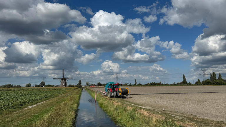 Droogte-update: neerslagtekort neemt nog één keer toe