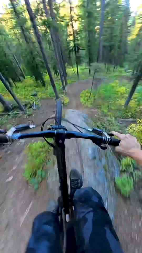 Dirt Therapy: Epic Dirt Jumps and Downhill MTB Action