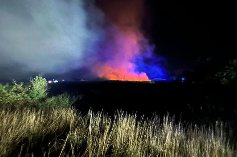 Firefighters ask for the public's help after Essex beauty spot fire