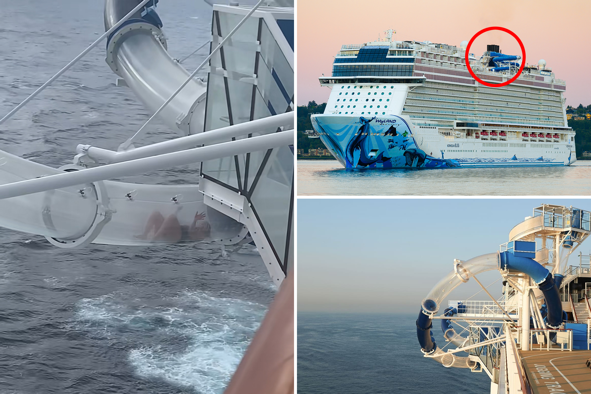 Shocking TikTok shows cruise passenger trapped inside water slide over ...