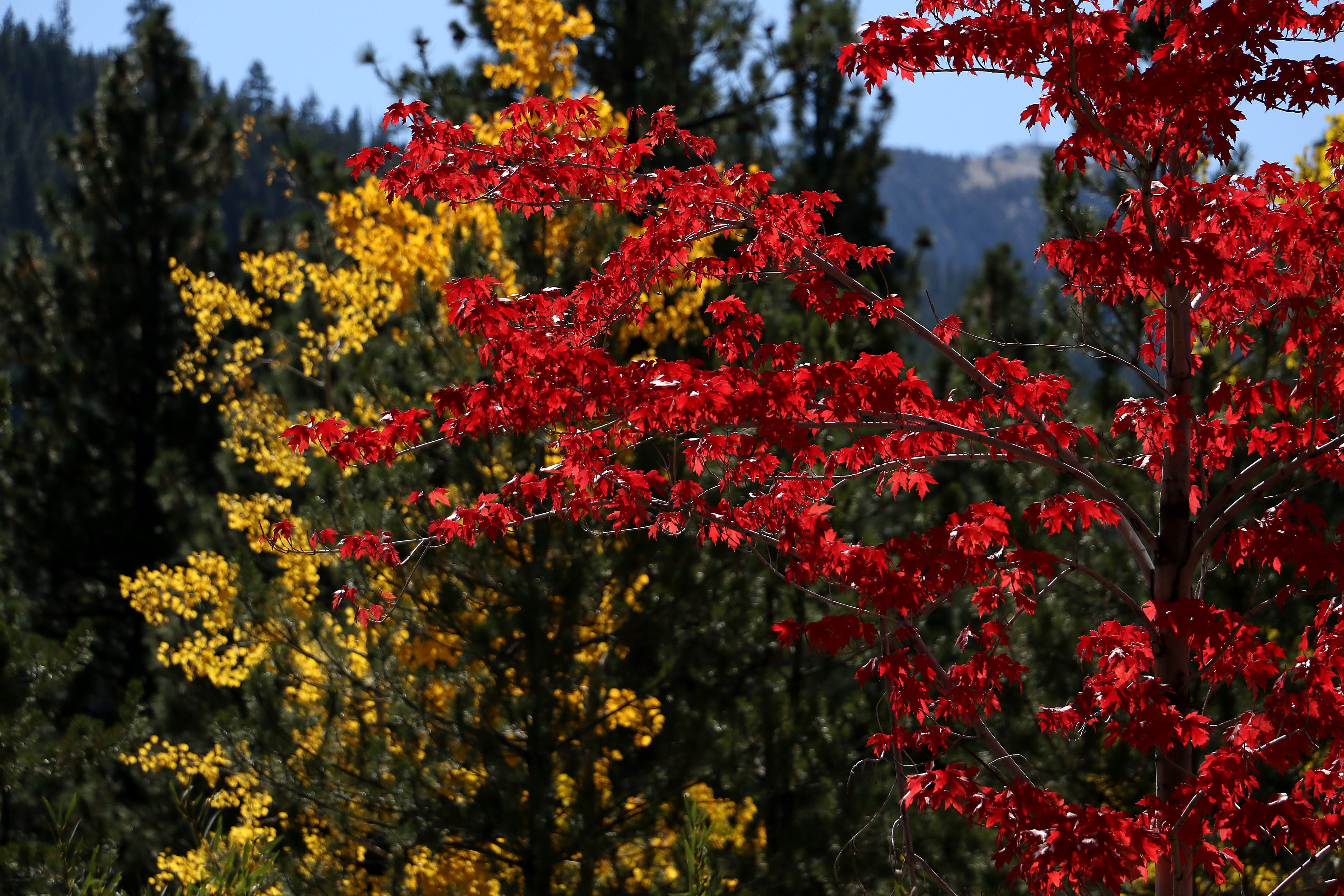 Redding starts fall with 100-degree weather. Will it break autumn heat ...