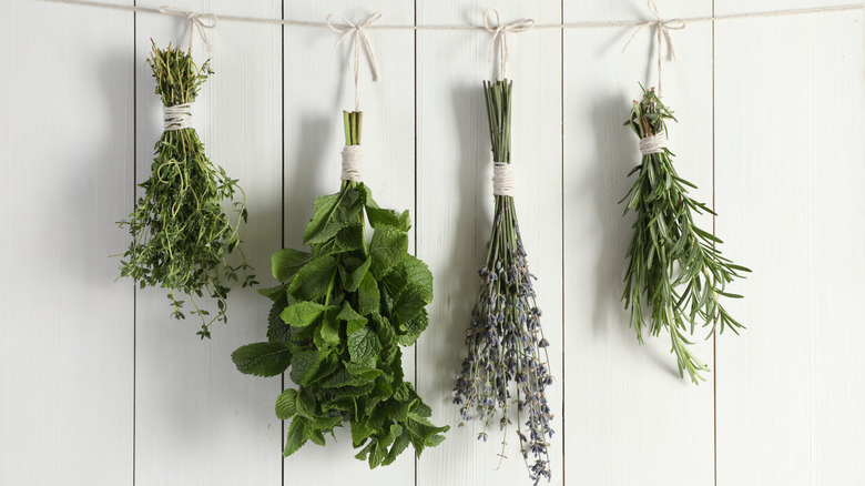 Why Boiling These Garden Herbs Can Transform Your Home