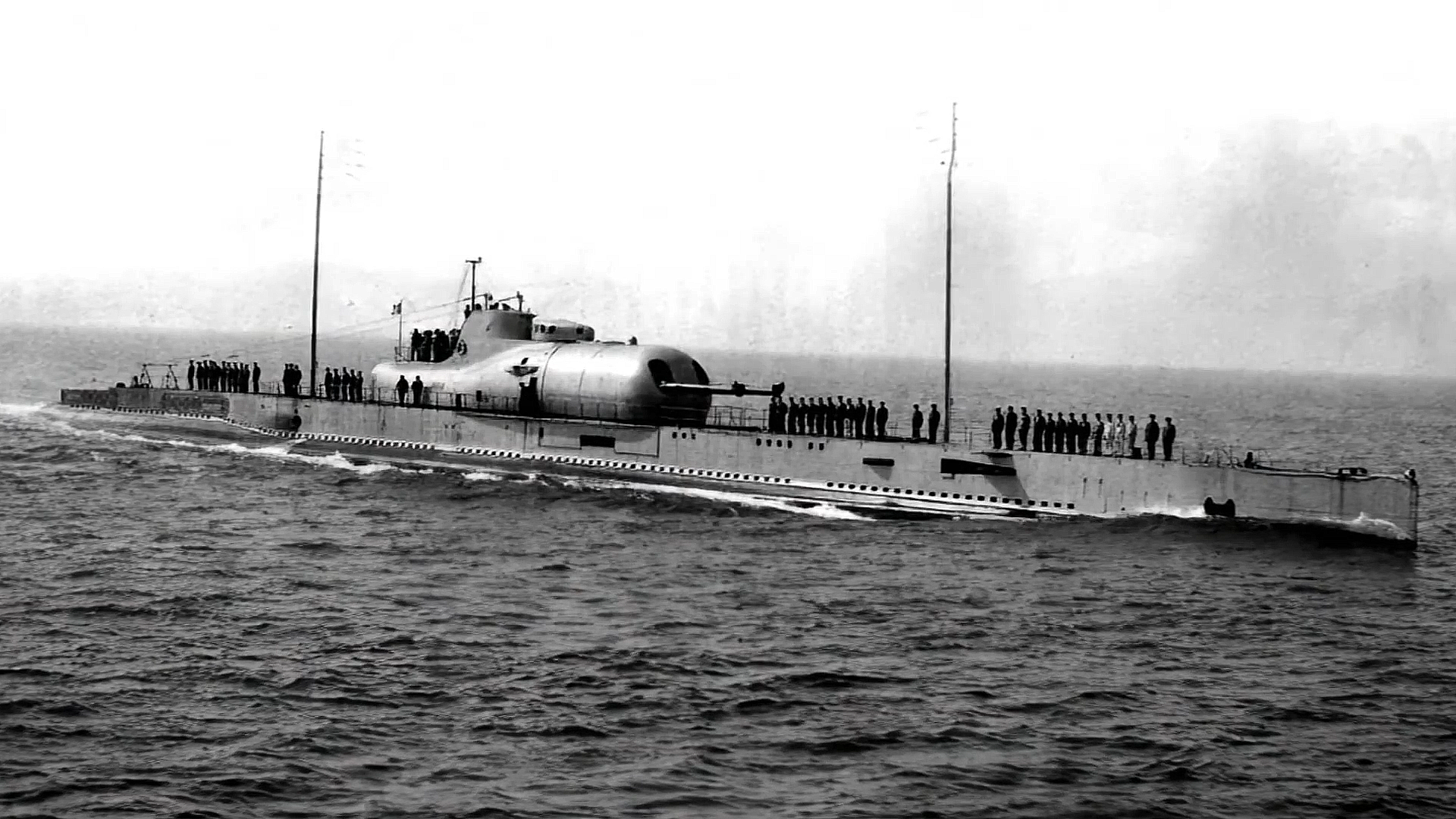 Life and Death Beneath the Waves