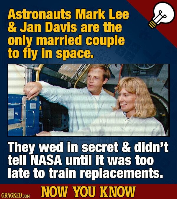31 Neat Facts You Don't Have to Clean at All