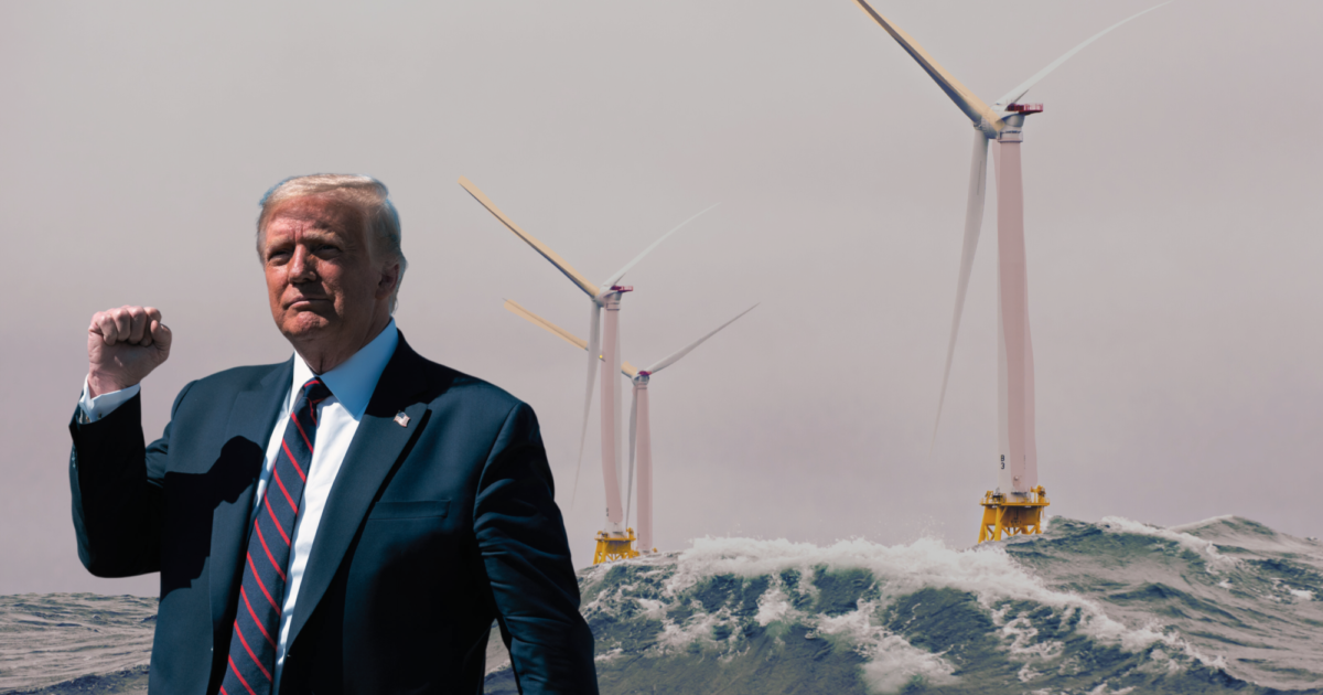 Trump Put U.S. Wind Energy At Risk Again