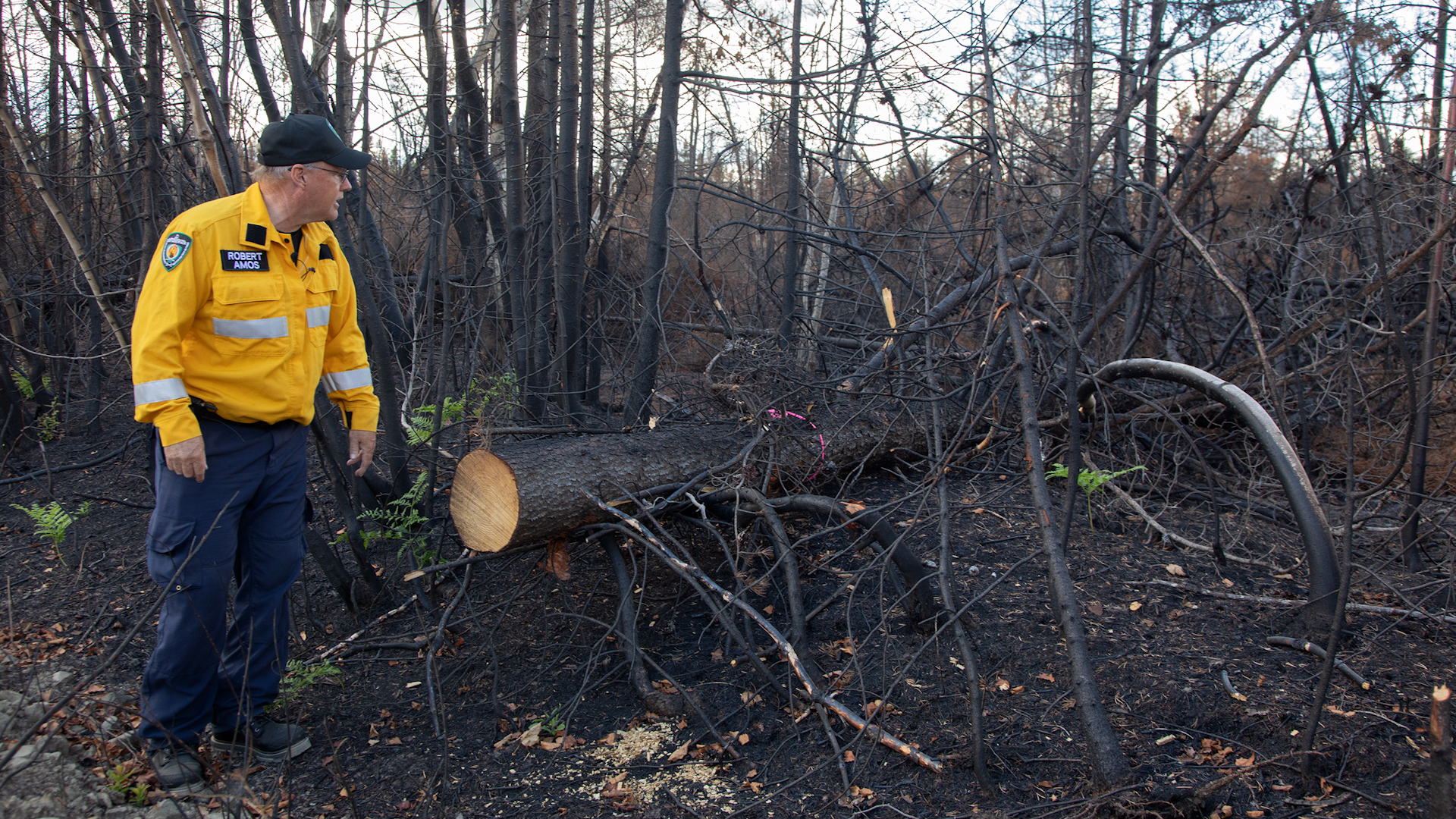 A tour of N.B.'s largest wildfire site