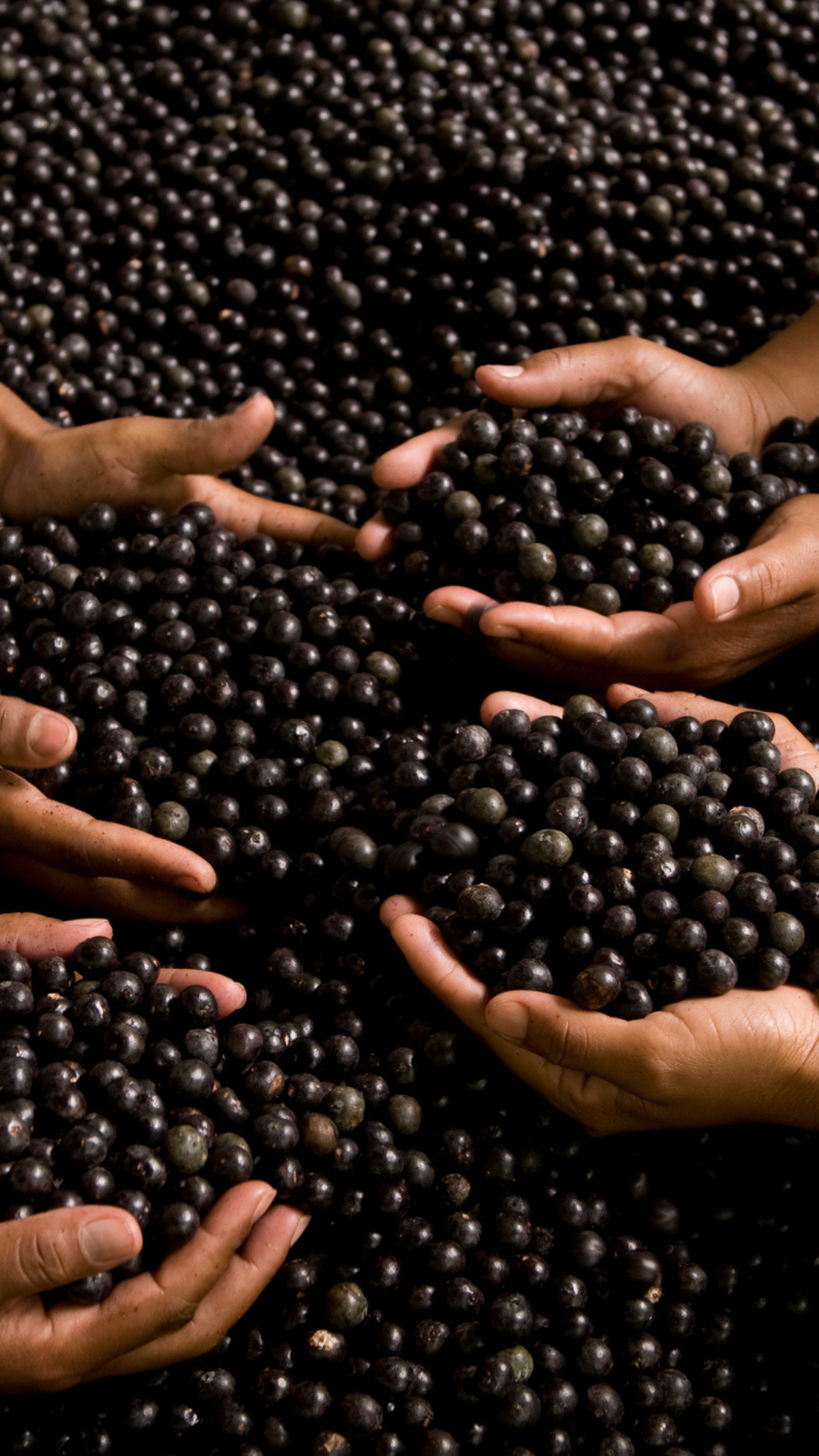 9 exotic fruits that boost energy naturally and keep you active