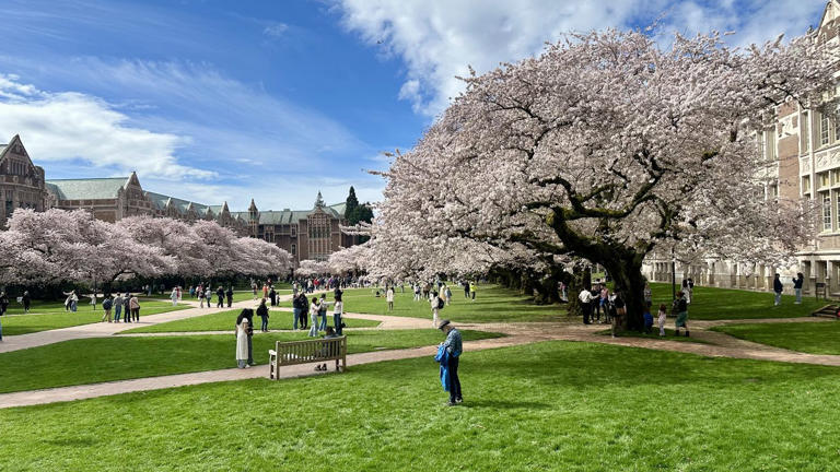 UW climbs in U.S. News college rankings