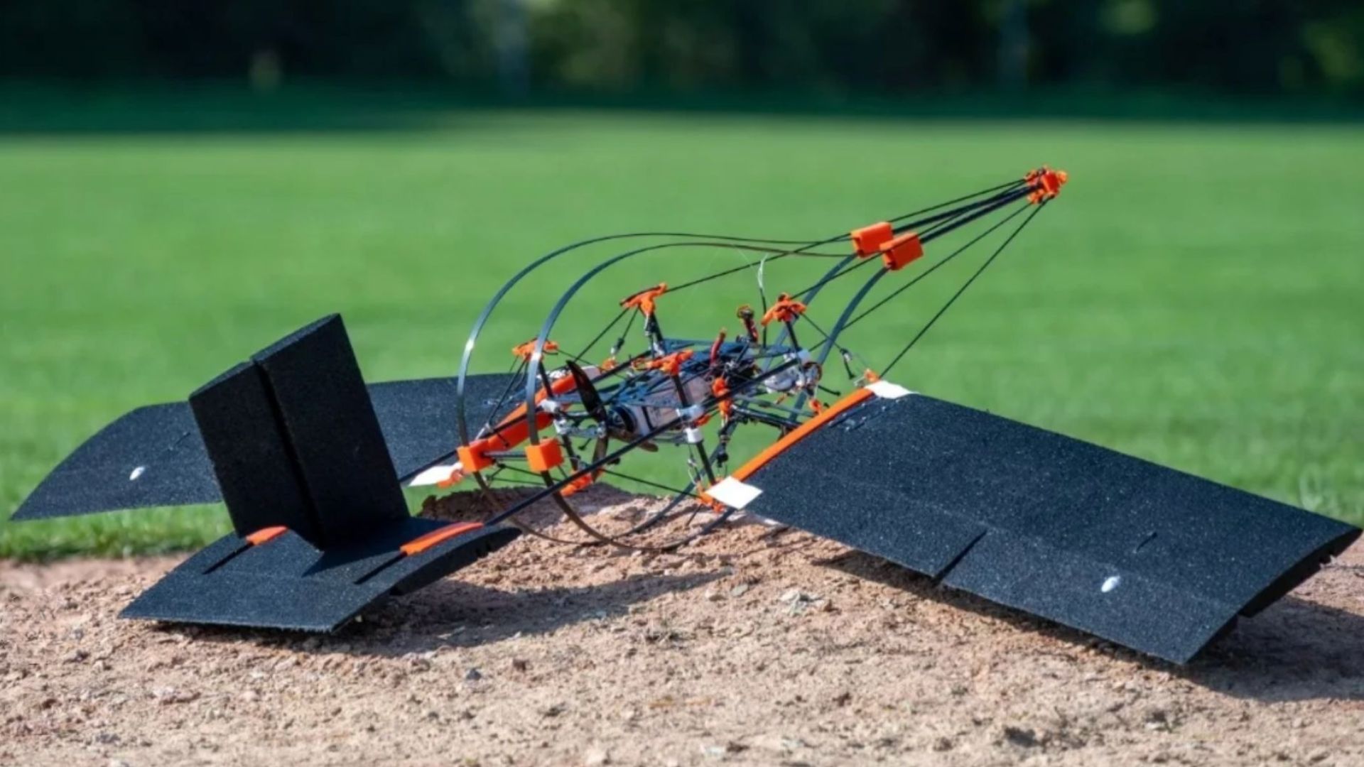Engineers mimic woodpecker skull to build drone that cuts 70% collision ...