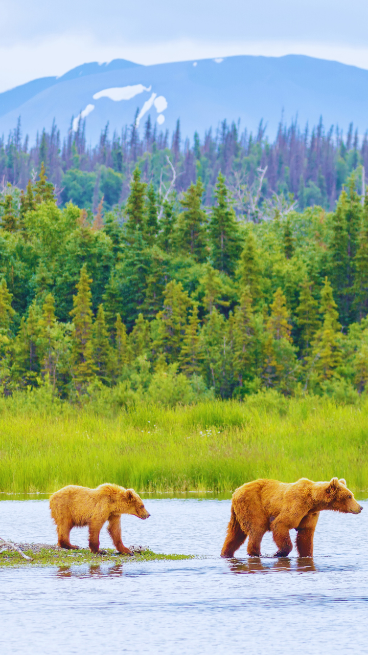 8 best left-handed QBs in NFL history, ranked from Michael Vick to ...