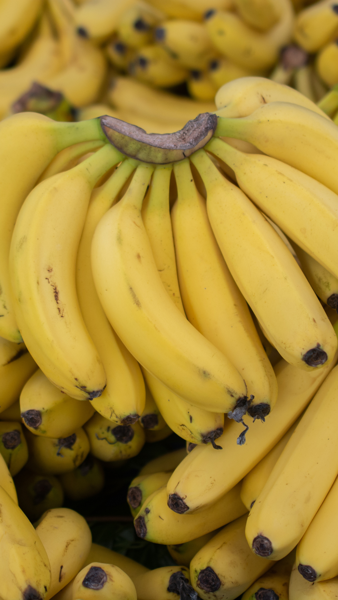 9 foods that keep you active and energized throughout the day