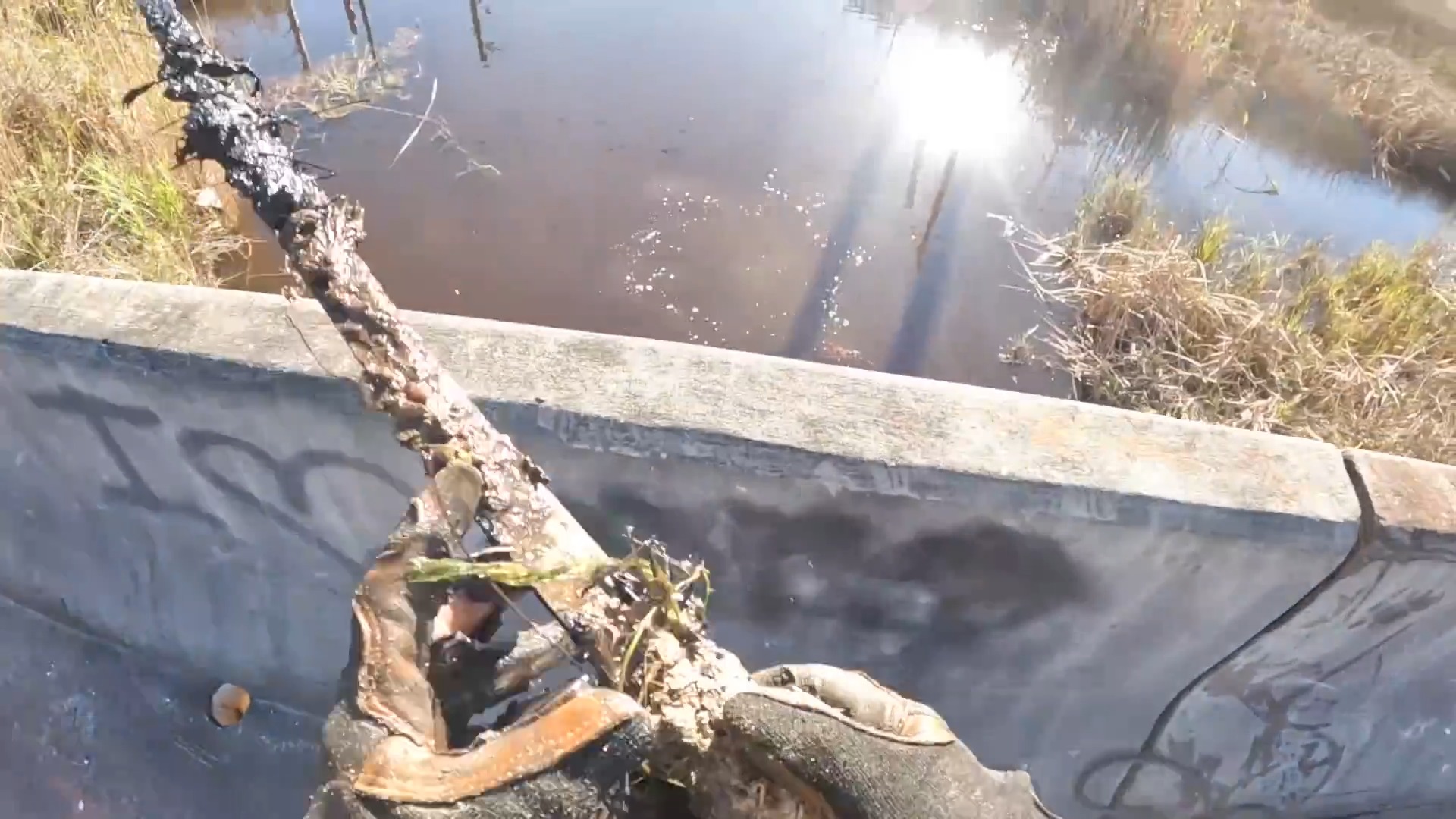 What Surfaced Left Me Speechless — Double Sword Jackpot