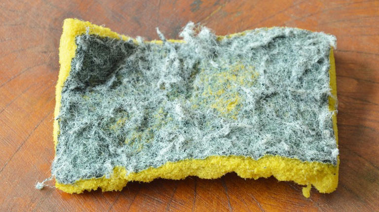 Why You Need To Snip Off Just One Corner Of Your Kitchen Sponge