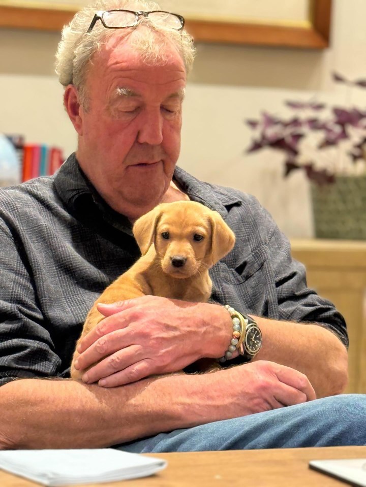 Jeremy Clarkson's partner reveals pet 'problem' on farm and asks for help