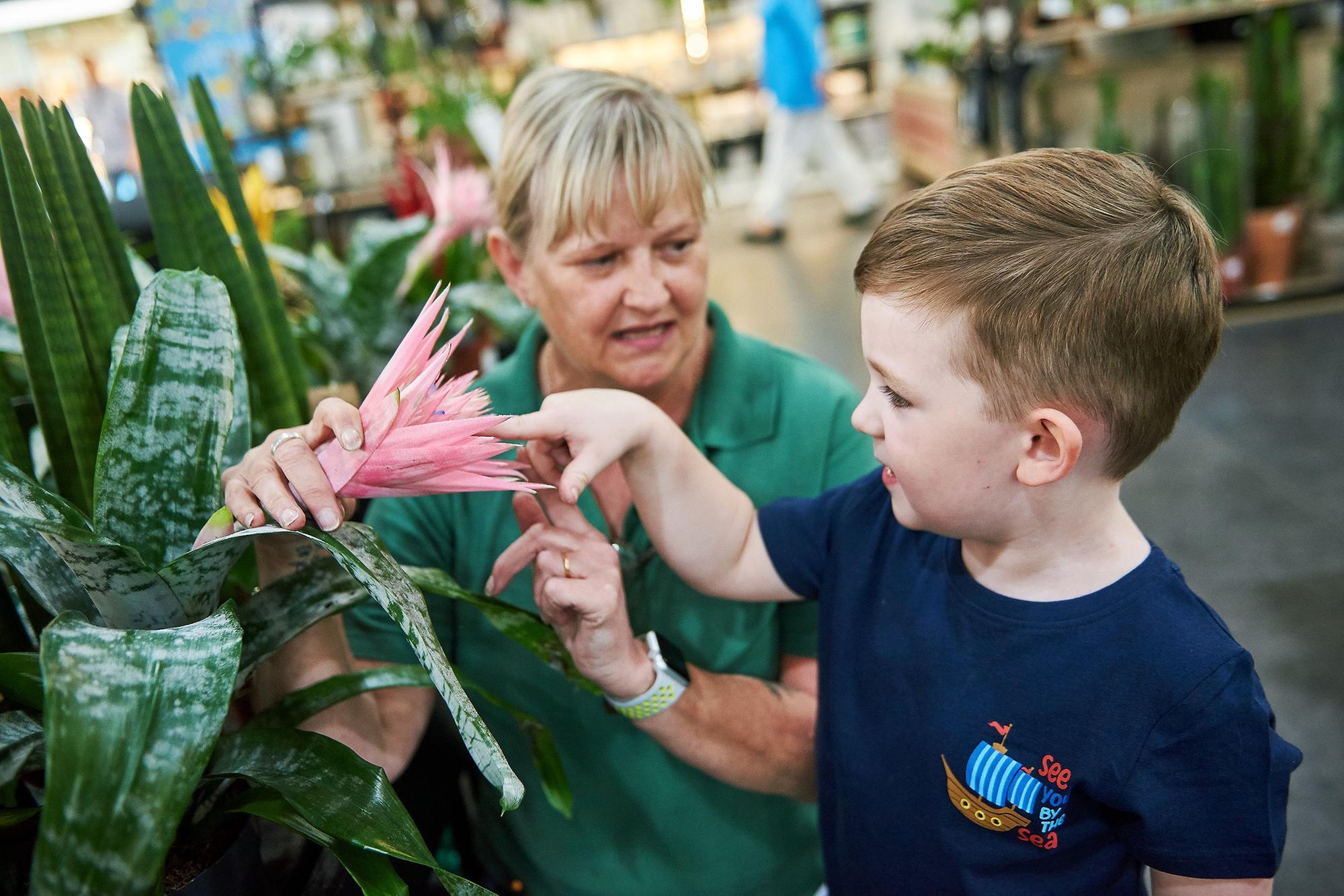 Dobbies’ Dundee store to host free October gardening workshops for all ...